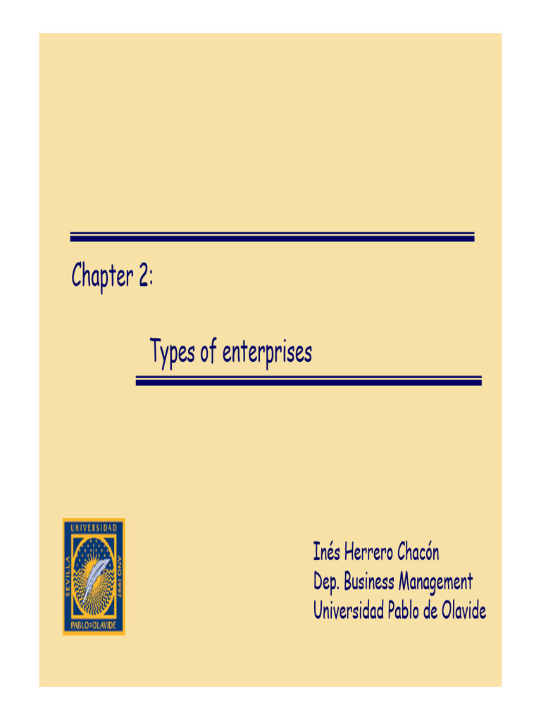 Business Management: Chapter 2 | PDF | Small And Medium Sized Enterprises | Limited Partnership