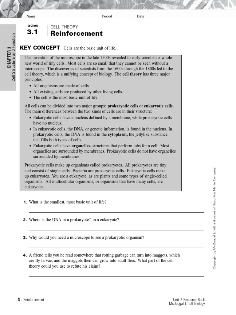 3.1 Reinforcement: Key Concept | PDF | Cell (Biology) | Prokaryote