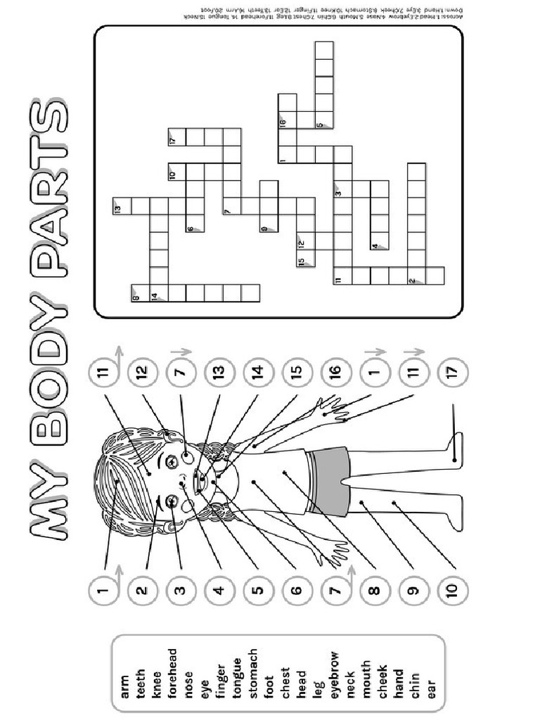 my body parts worksheet | PDF