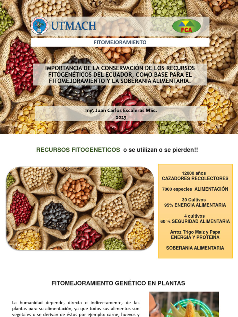 Clase 1 Fitomejoramiento Genético de Plantas | PDF | Tecnología