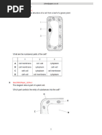 Calculation-Magnification-Qs Pack-Gcse | PDF | Micrograph | Cell (Biology)