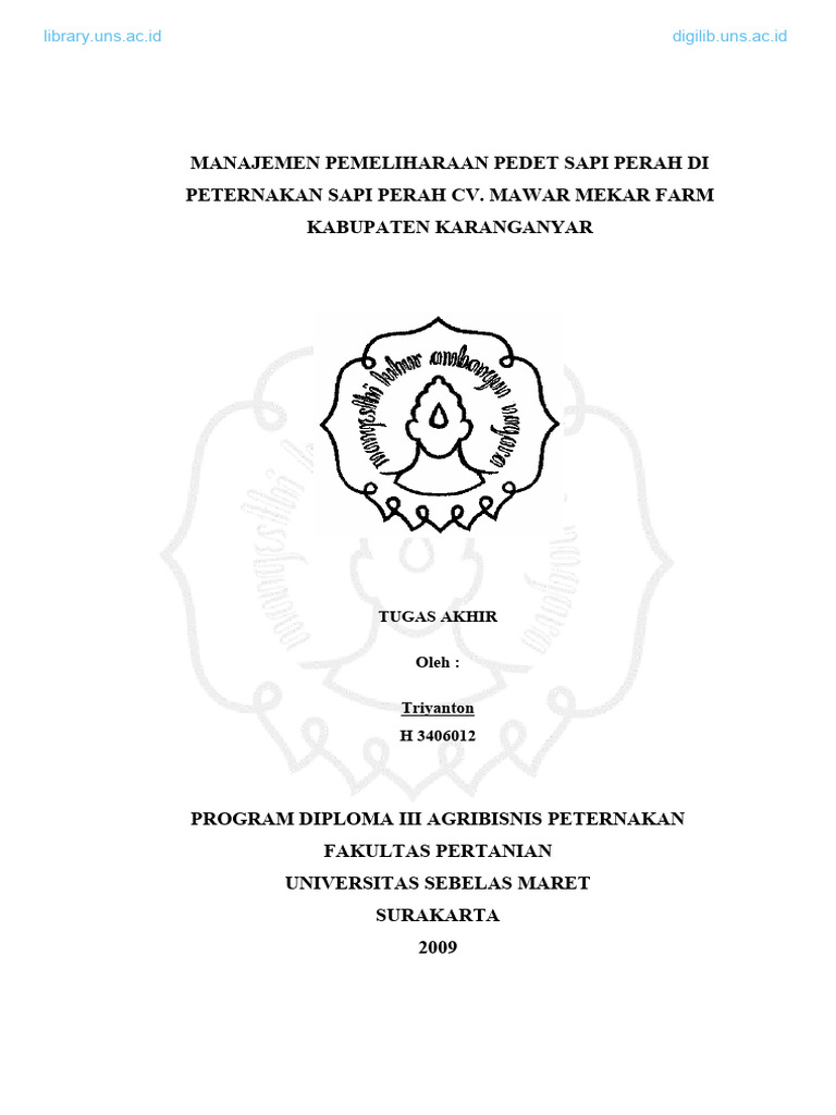 Manajemen Pemeliharaan Pedet Sapi Perah Di Peternakan Sapi Perah CV ...