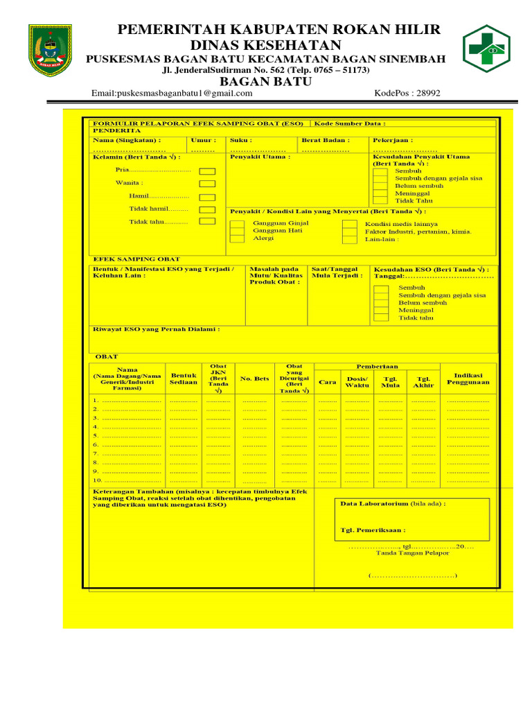 Form Monitoring Efek Samping Obat | PDF