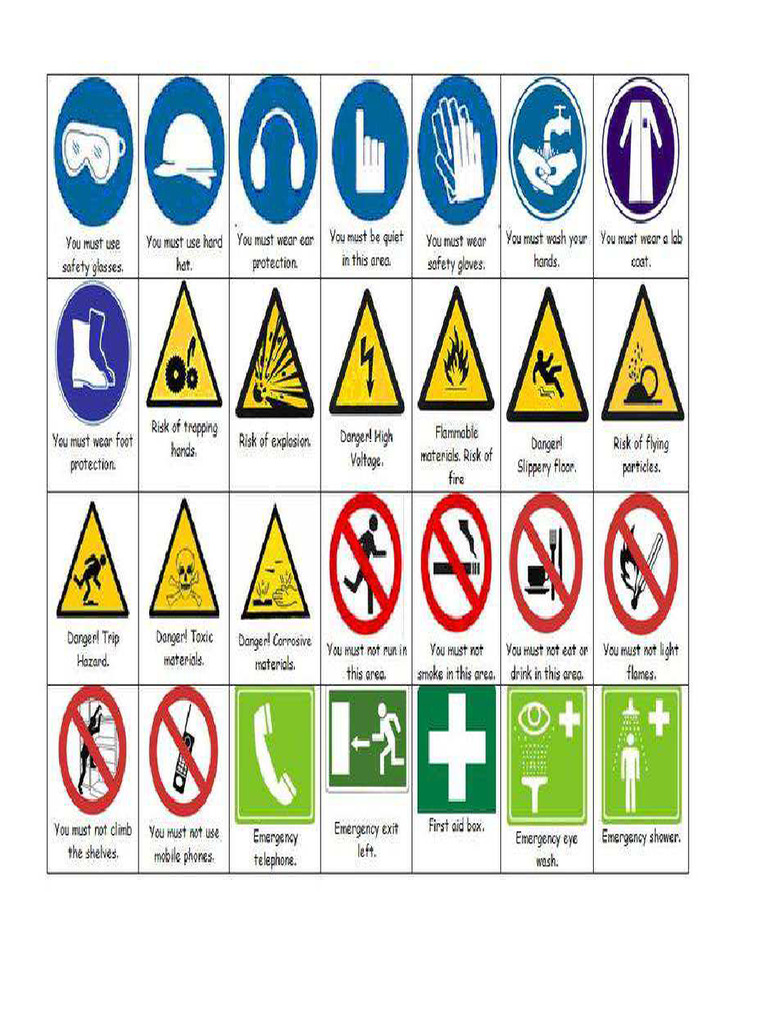 Safety Signals | PDF