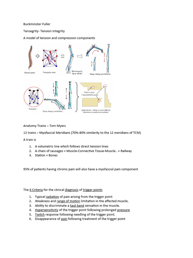 Dry Needling Notes To Cards | PDF | Myofascial Trigger Point | Pain