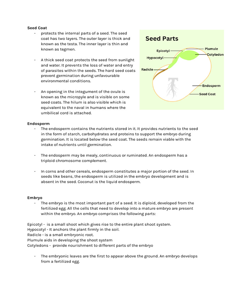 Parts of Seed | PDF