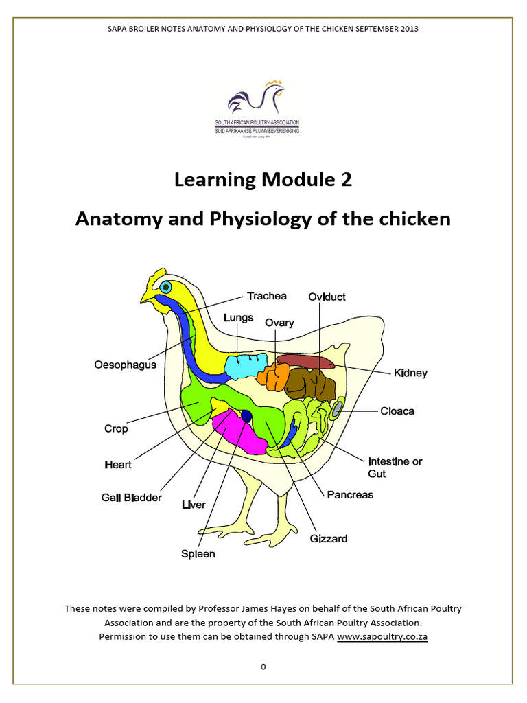 Anatomy and Physiology of The Chicken Author The South African Poultry ...