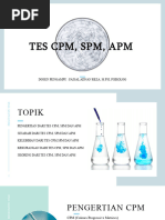 Raven Progressive Matrices RPM (CPM, SPM, APM) | PDF