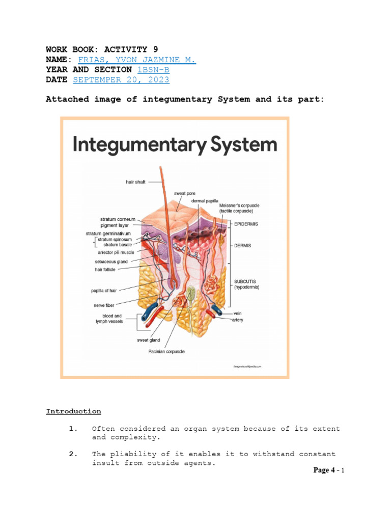 Work Book Activity 9 Ana Lab | PDF | Skin | Thermoregulation