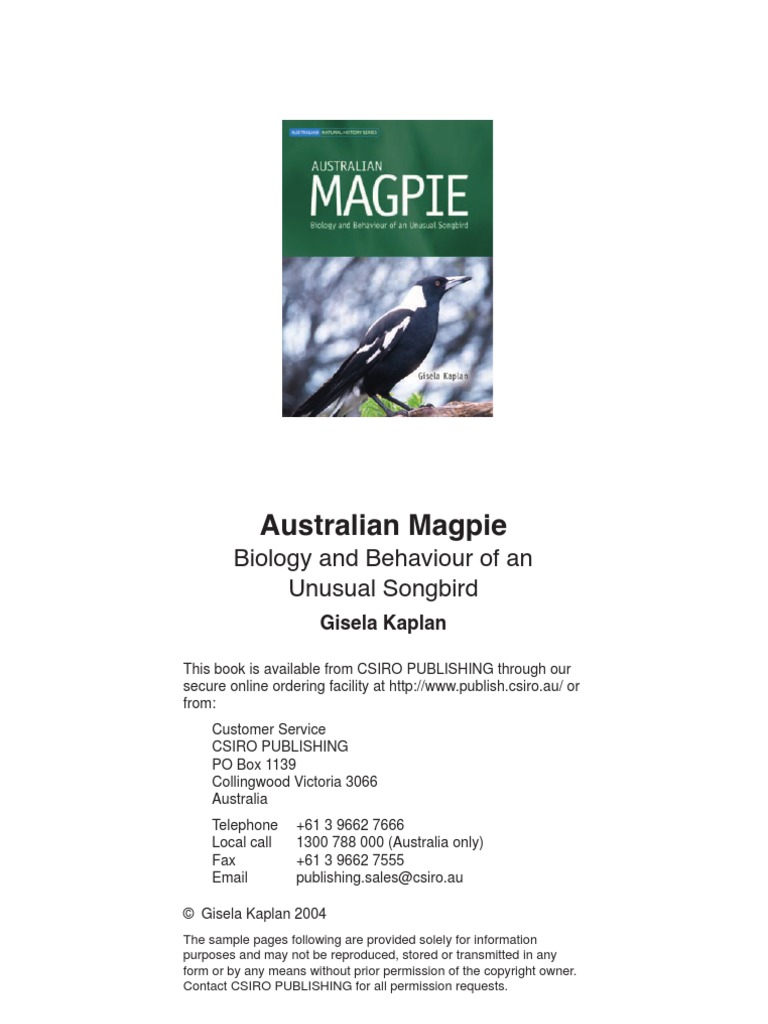 Australian Magpie: Biology and Behaviour of An Unusual Songbird | PDF ...