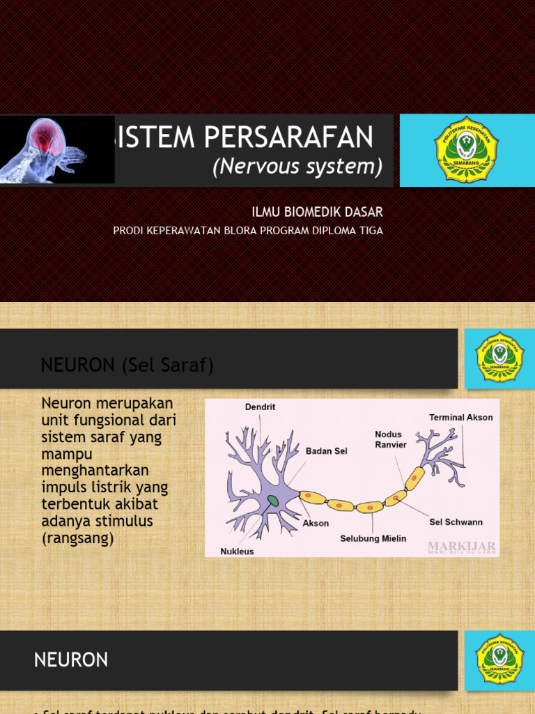 SISTEM PERSARAFAN - PPT | PDF | Kesehatan Holistik