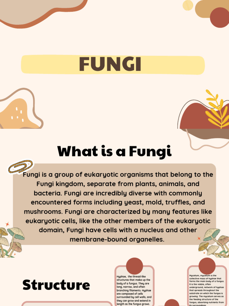 FUNGI | PDF | Fungus | Cell (Biology)