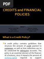 Credit Policy Guidelines | PDF | Credit Card | Banks