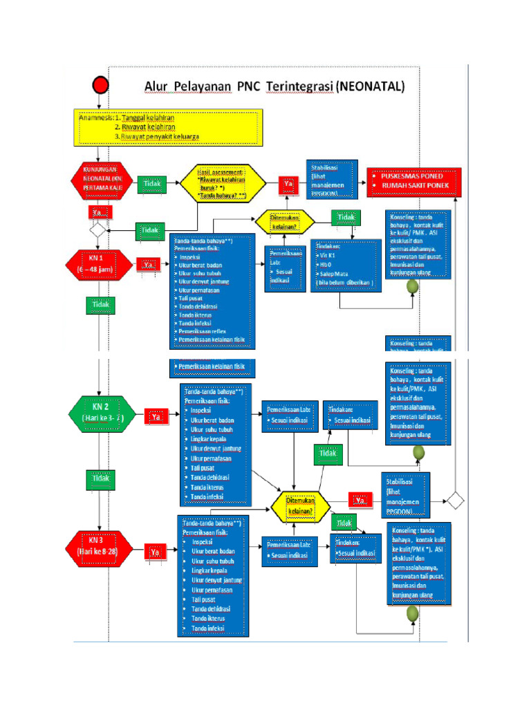 ALUR Pely. ANC PNC | PDF