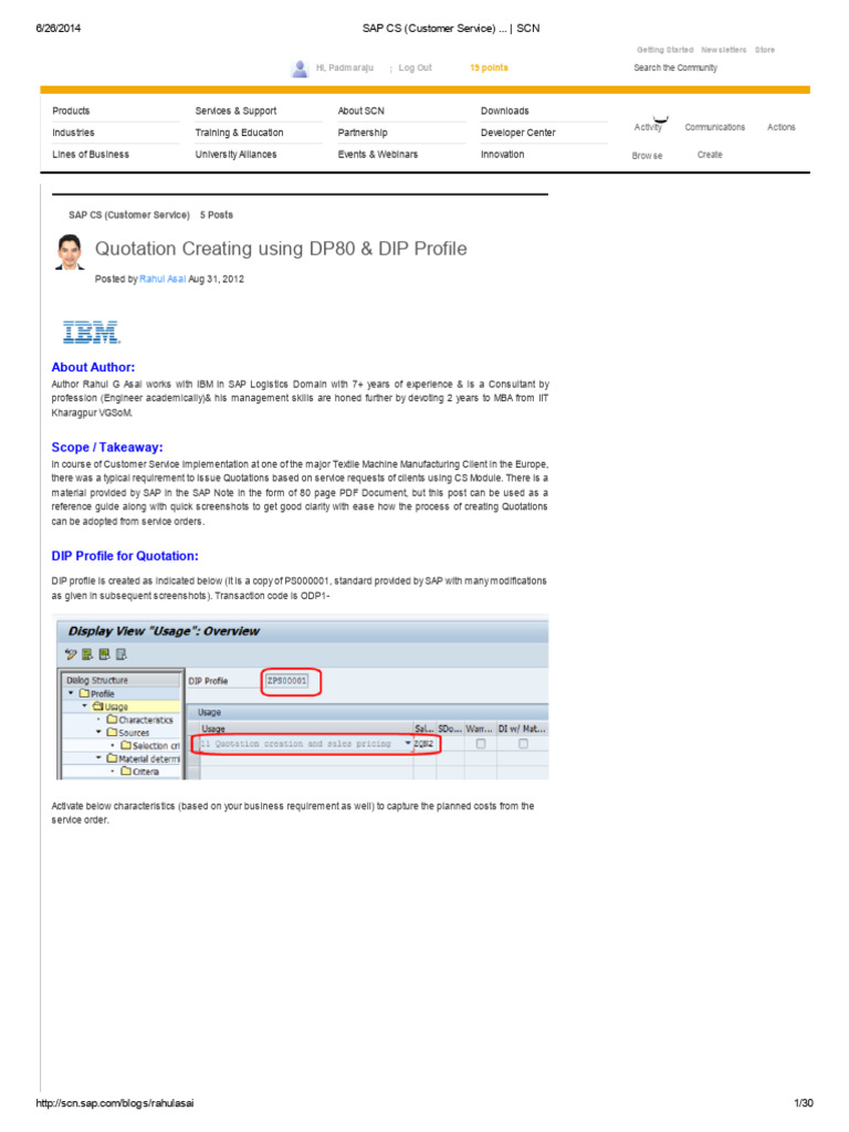 SAP CS - Config - DIP | PDF | Receipt | Information Technology