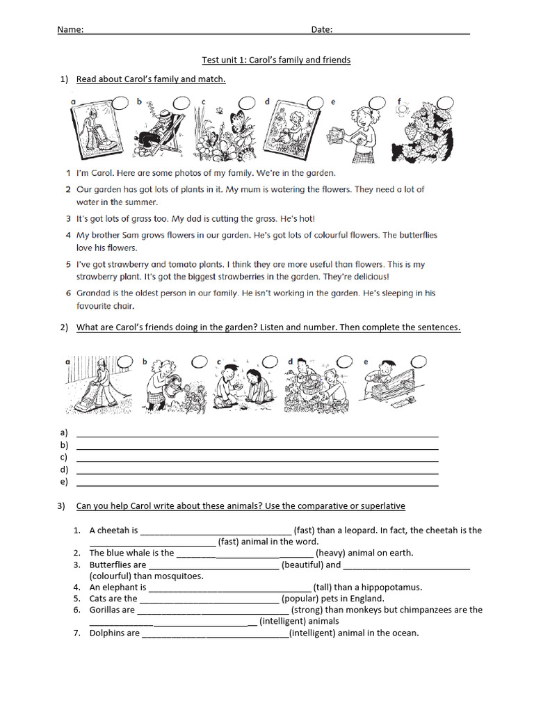 Test Unit 1 - 6th Grade 2023 | PDF | Organisms