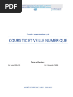 LA VEILLE INFORMATIONNELLE-cours | PDF | Informations | Environnement naturel