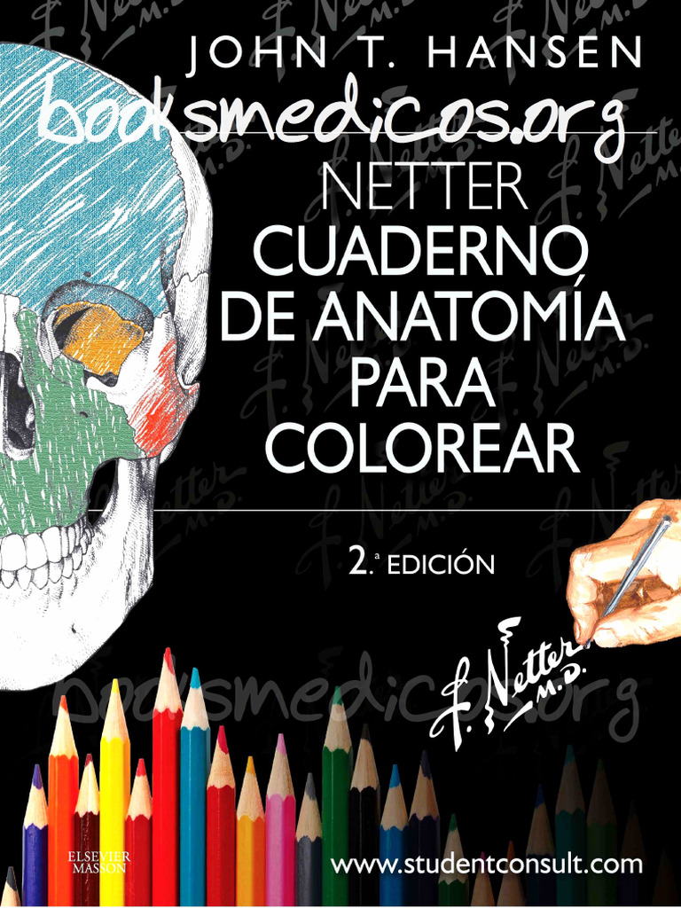 Netter Cuaderno De Anatomía Para Colorear Pdf