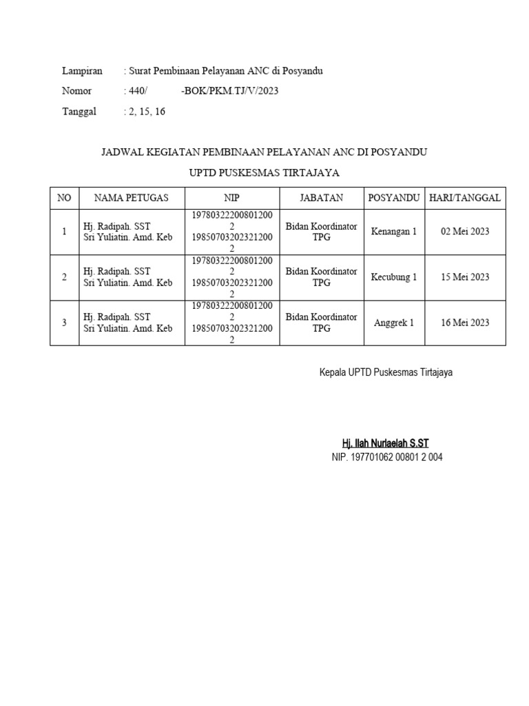Jadwal Kegiatan Pembinaan ANC Di Posyandu | PDF