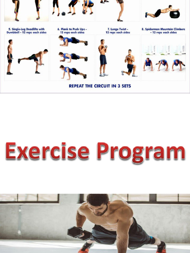 Exercise Program 11 | PDF | Career & Growth