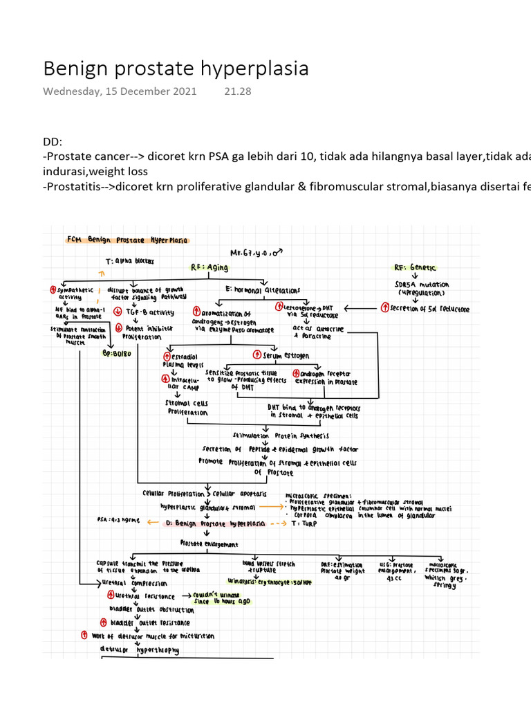 Benign Prostate Hyperplasia | PDF
