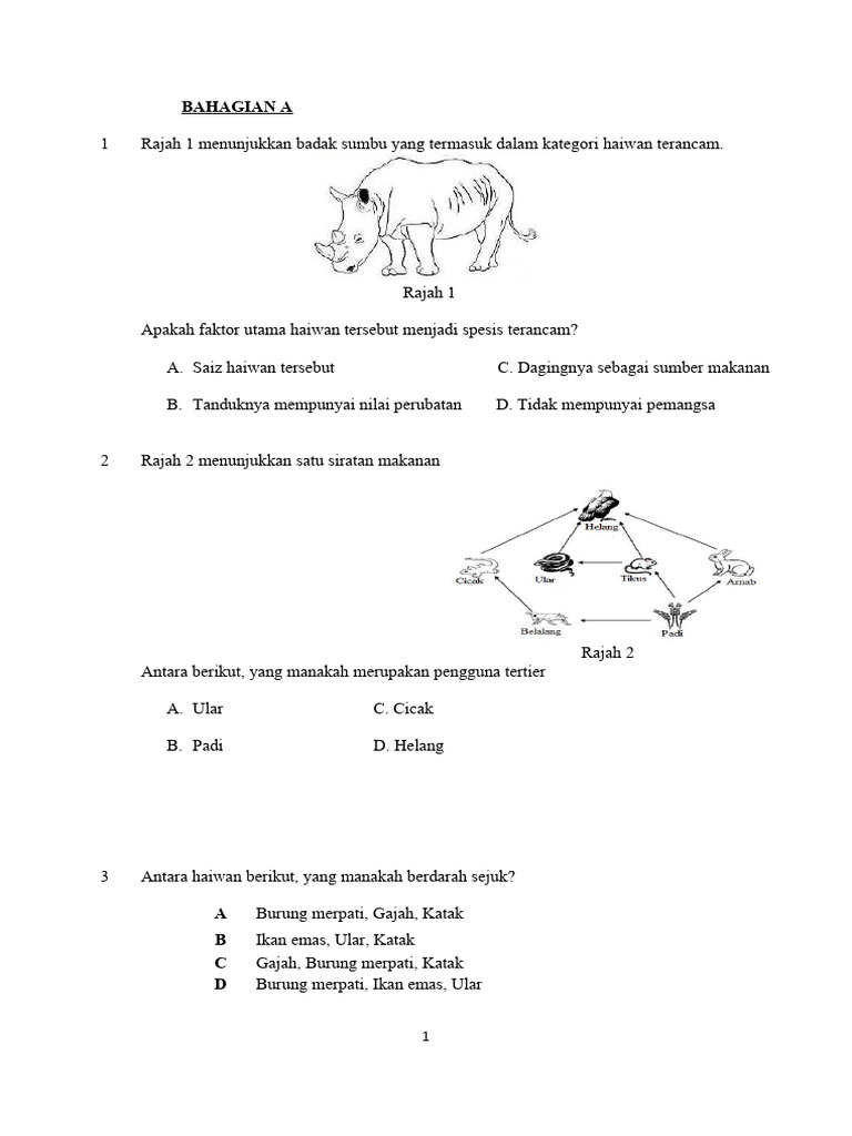 Upsa Ting 2 2023 | PDF