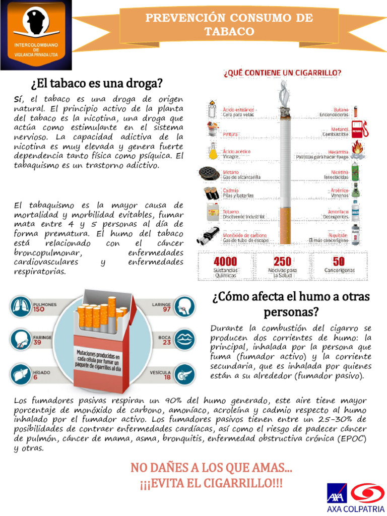 Infografia Tabaco | PDF