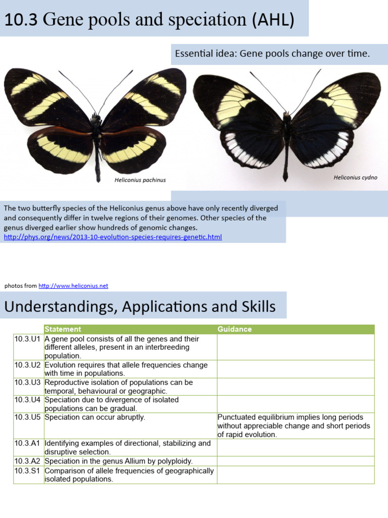 10.3 Gene Pools and Speciation | PDF | Ploidy | Natural Selection