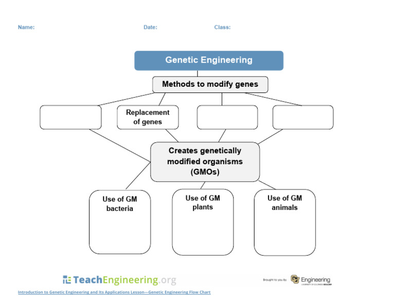 Uoh Genetic Lesson01 Flowchart v3 | PDF