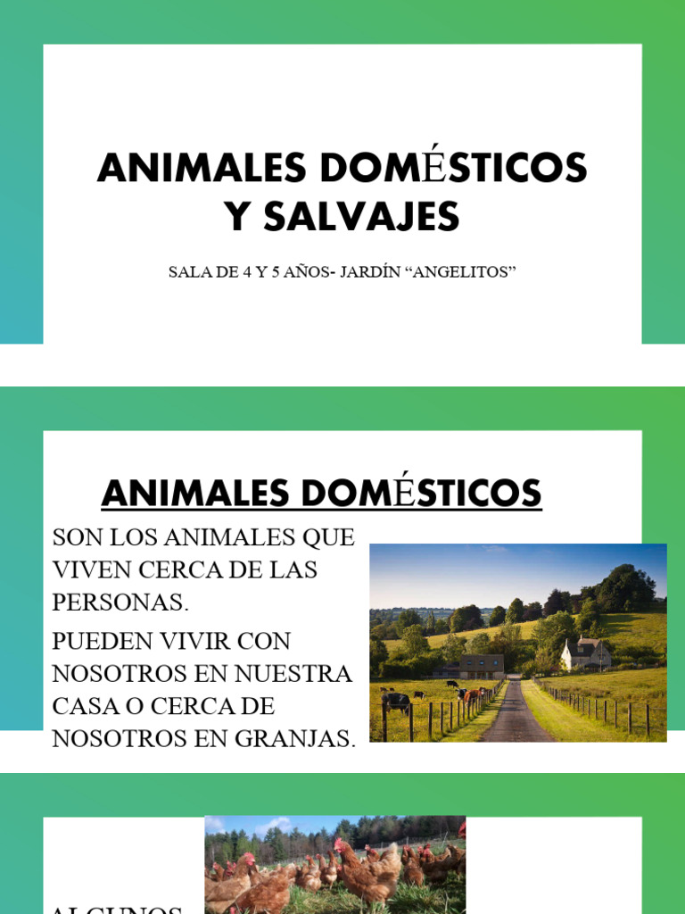 Animales Domésticos y Salvajes | PDF