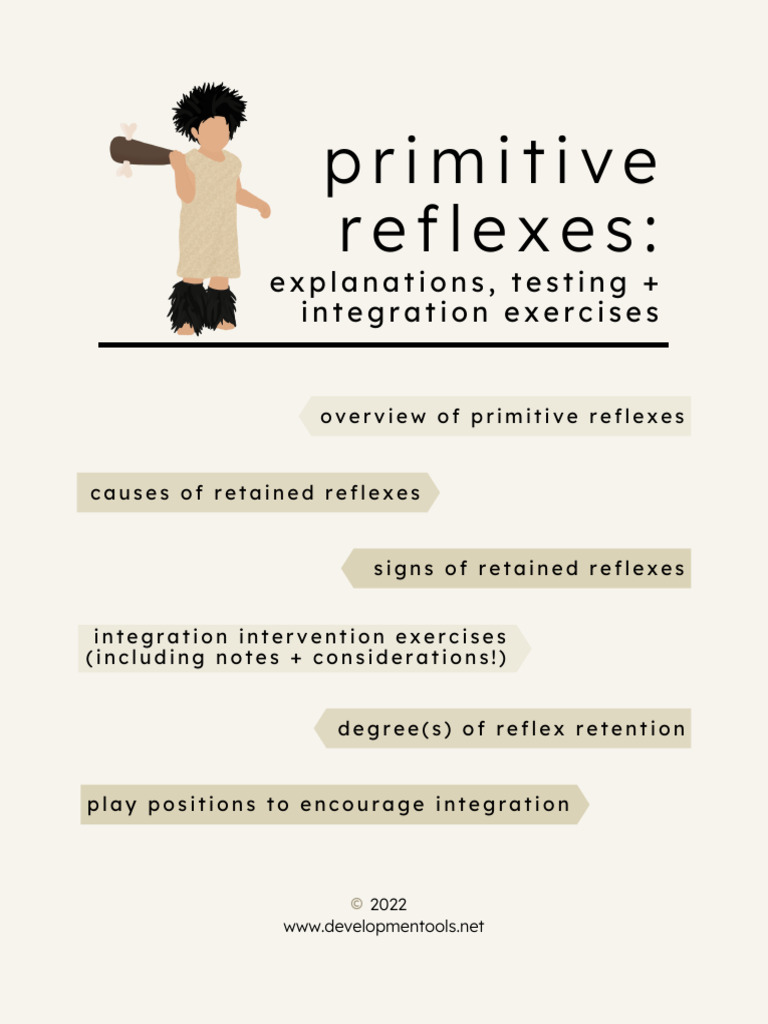 Primitive Reflexes Development Ools | PDF | Anatomical Terms Of Motion ...