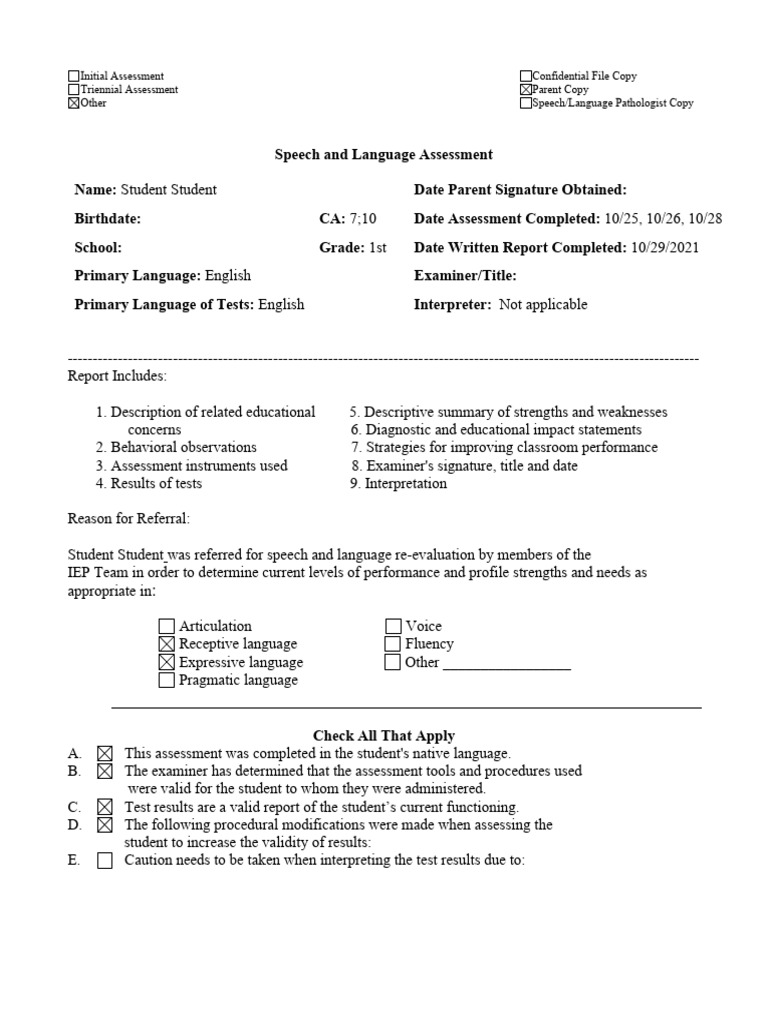 S.M. Fake Assessment | PDF | Word | Plural