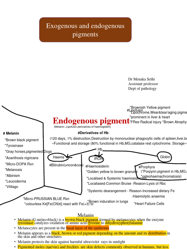 Exogenous and Endogenous Pigment..... | PDF | Hemoglobin | Silicon Dioxide