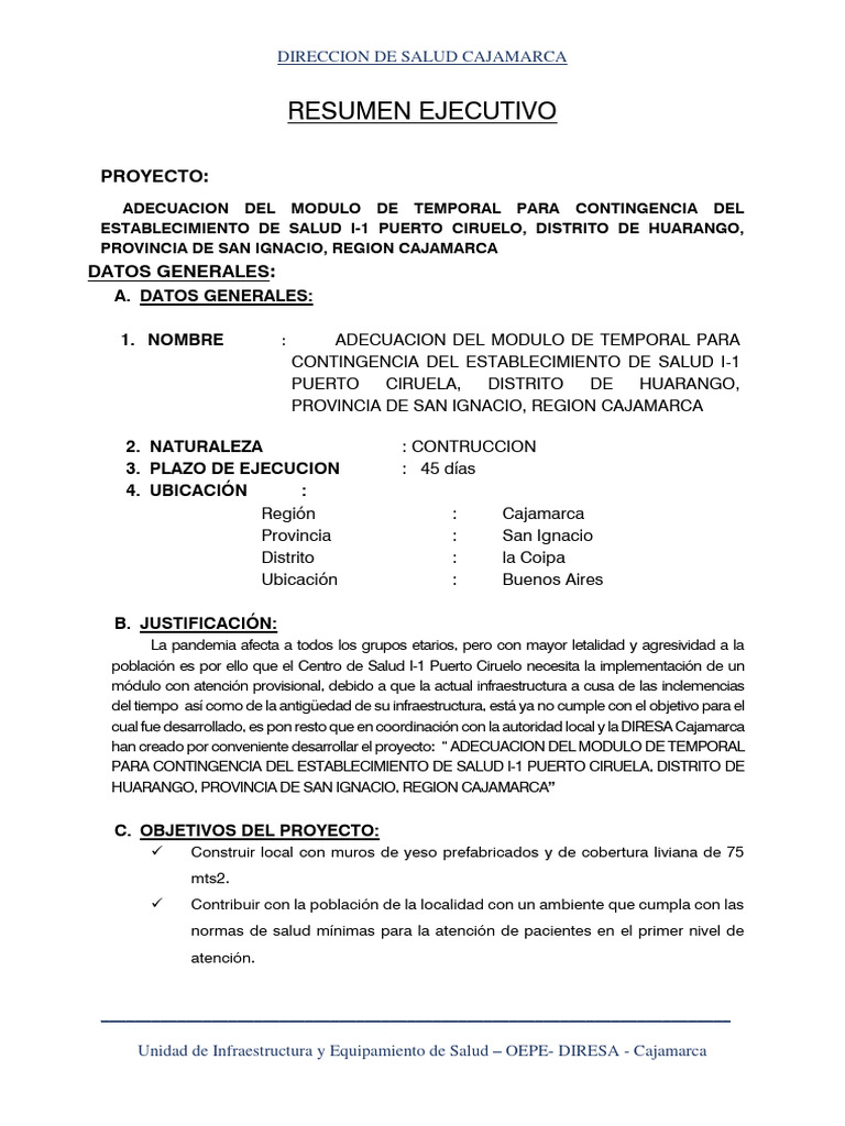 Resumen Ejecutivo | PDF