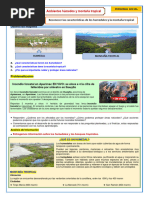 ZARPEO | PDF | Cemento | Mortero (Albañilería)