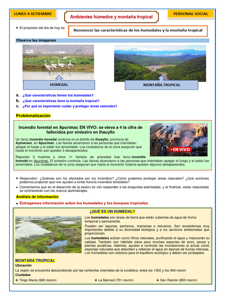 FICHAS PS - 04 Setiembre | PDF | Los bosques | Humedal