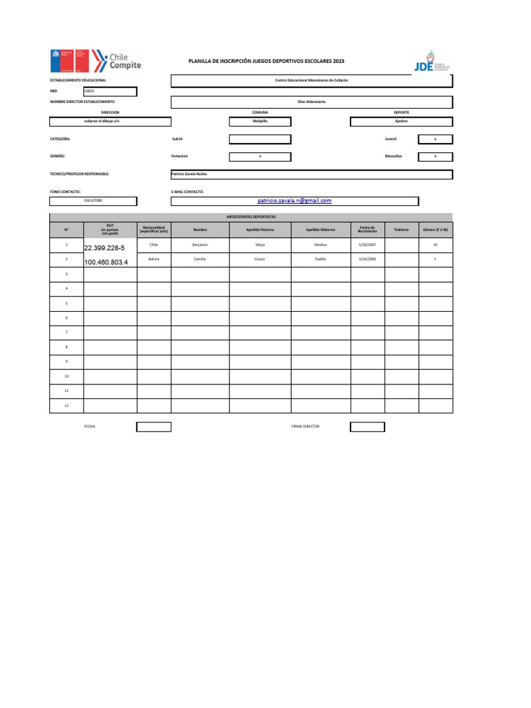 Ficha de Inscripción JDE 2023 | PDF