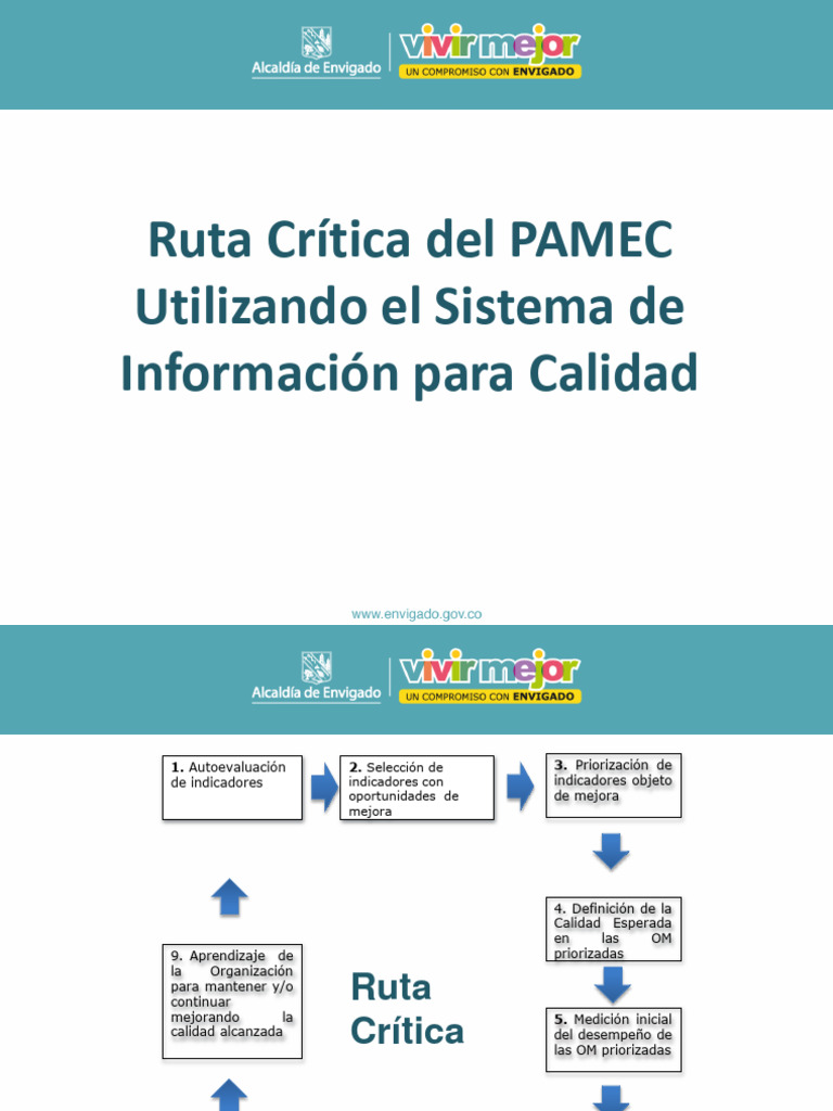 Ruta Crítica PAMEC: Optimización Calidad | PDF | Evaluación