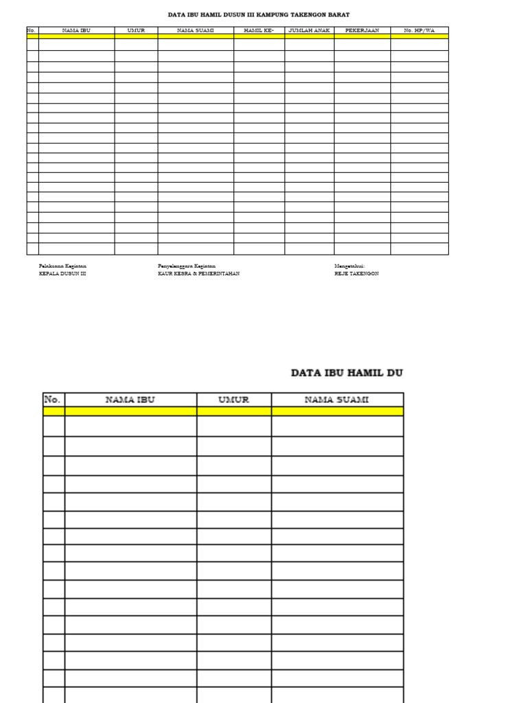 Data Penduduk Ibu Hamil | PDF