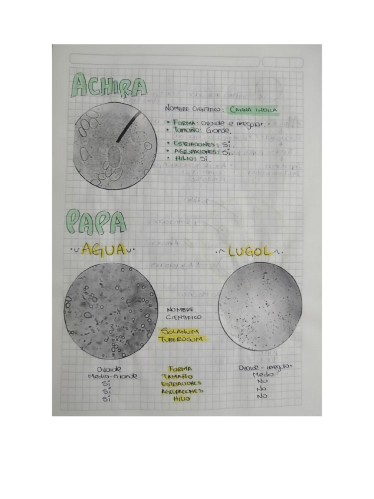 Repaso Lab Fito | PDF