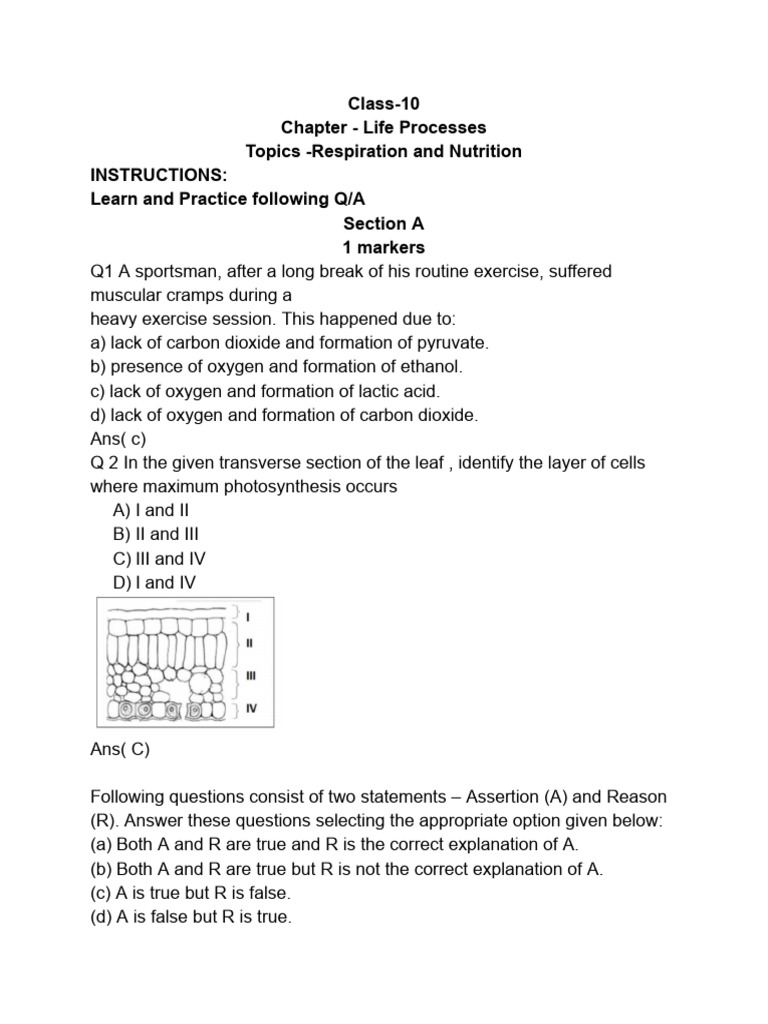 Biology Chapter Life Processes Class 10 Pdf Cellular Respiration