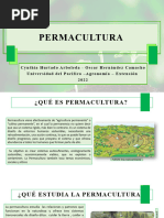 LITOSOLES | PDF | Suelo | Roca (geología)
