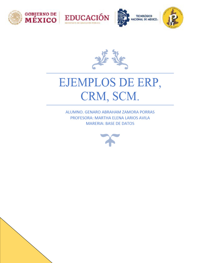 Ejemplos de Erp, SCM, CRP | PDF | Planificación de recursos ...