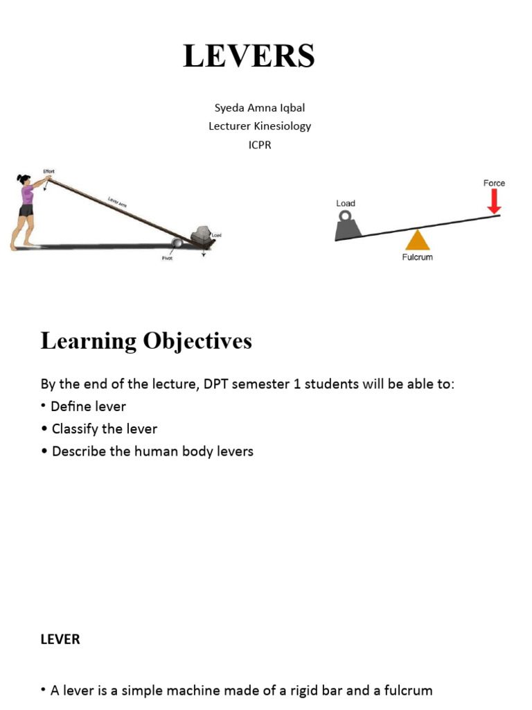 Levers | PDF | Lever | Musculoskeletal System