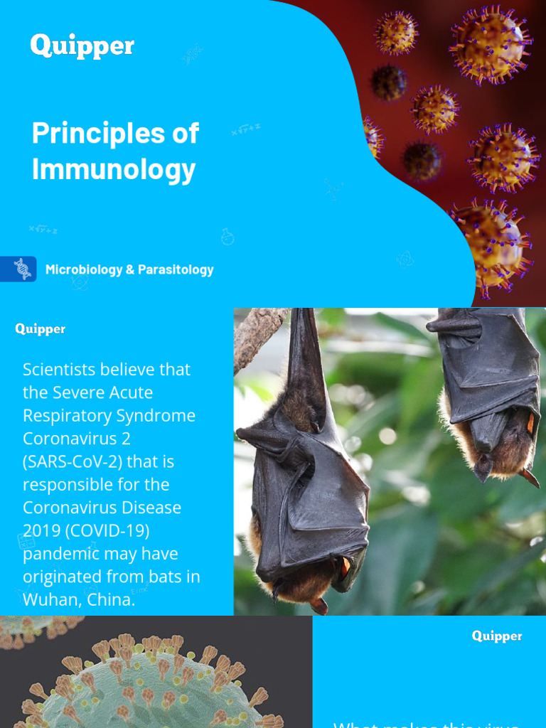 Principle of Immunology | PDF | Immune System | Antibody