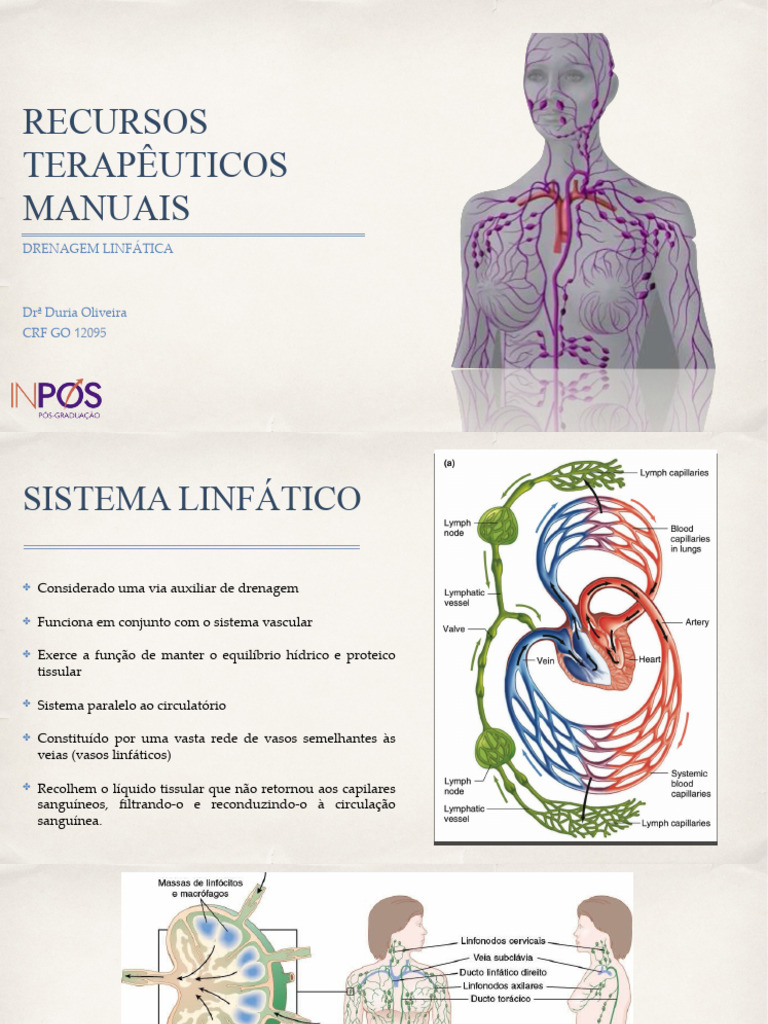 Guia de Drenagem Linfática | PDF | Sistema linfático | Linfa