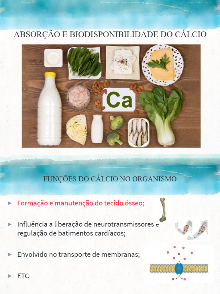 Absorção e Biodisponibilidade Do Cálcio | PDF | Osso | Cálcio