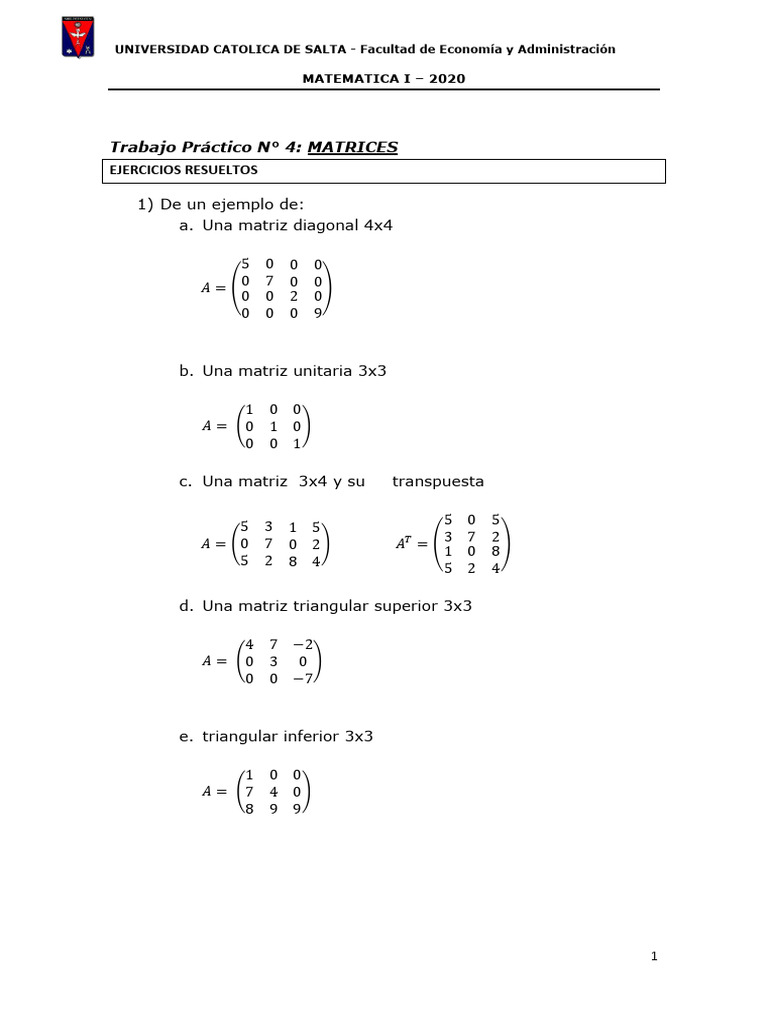 Ejercicios Resueltos de Matrices | PDF | Matriz (Matemáticas) | Análisis matemático