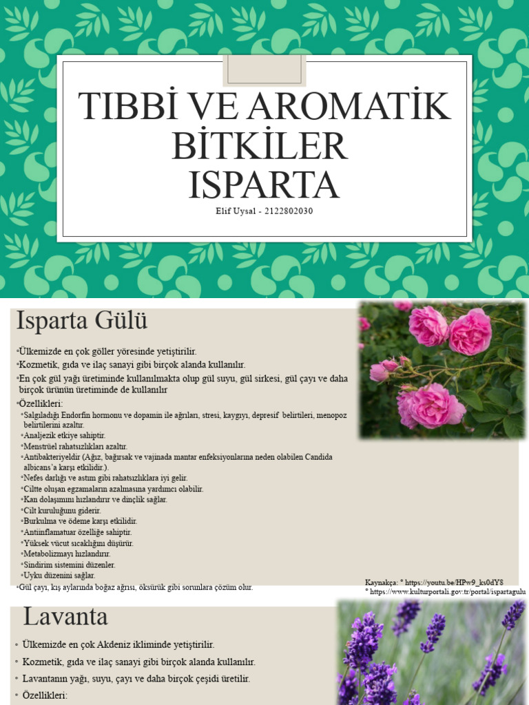 Tıbbi Ve Aromatik Bitkiler Isparta | PDF