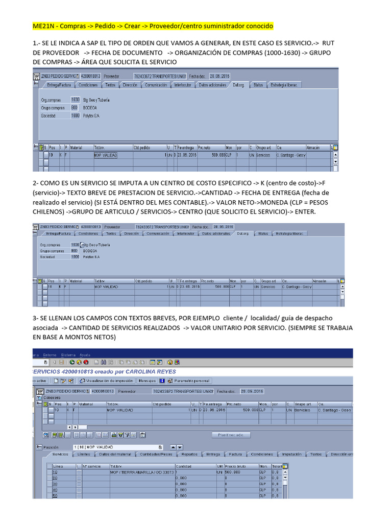 Orden de Servicio Sap | PDF